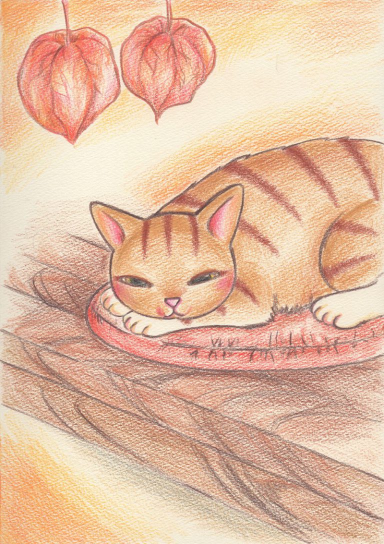 縁側で眠る猫 ねこもり！